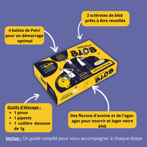 Mister Blob | Achat et élevage de Blobs en France – Misterblob
