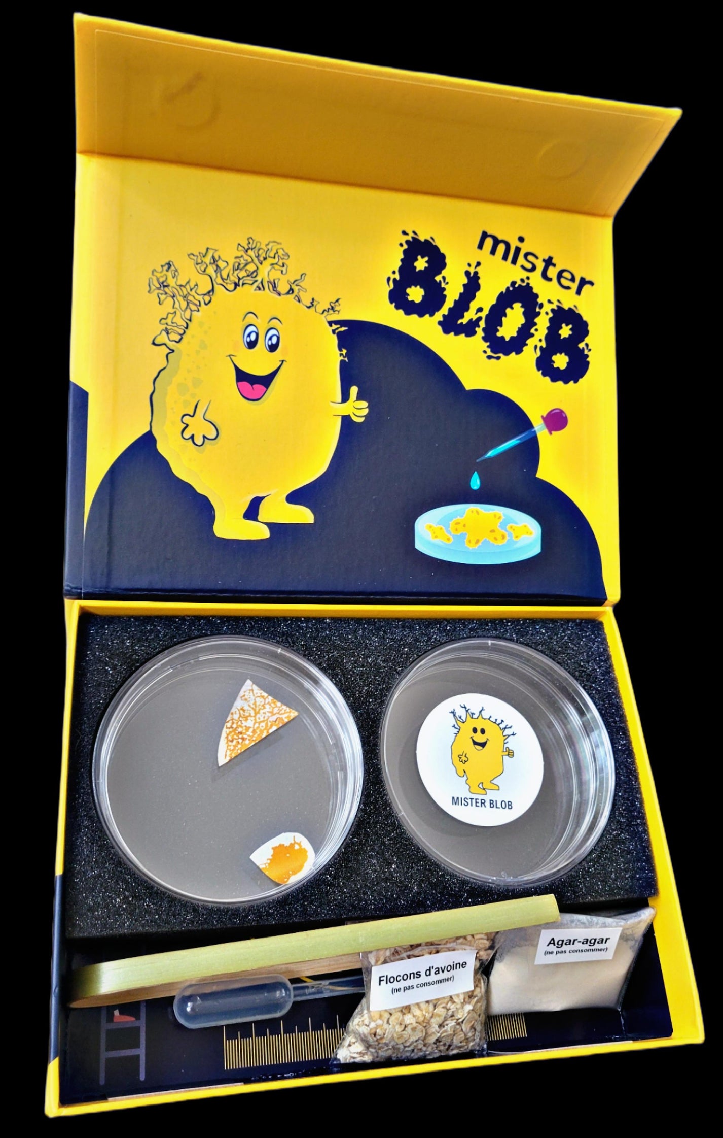 Coffret "blob box" Physarum polycephalum | Acheter un blob | Mister ...
